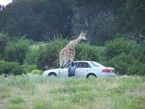 Tres Rios River Resort | Texas Outside