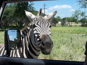 Tres Rios River Resort | Texas Outside